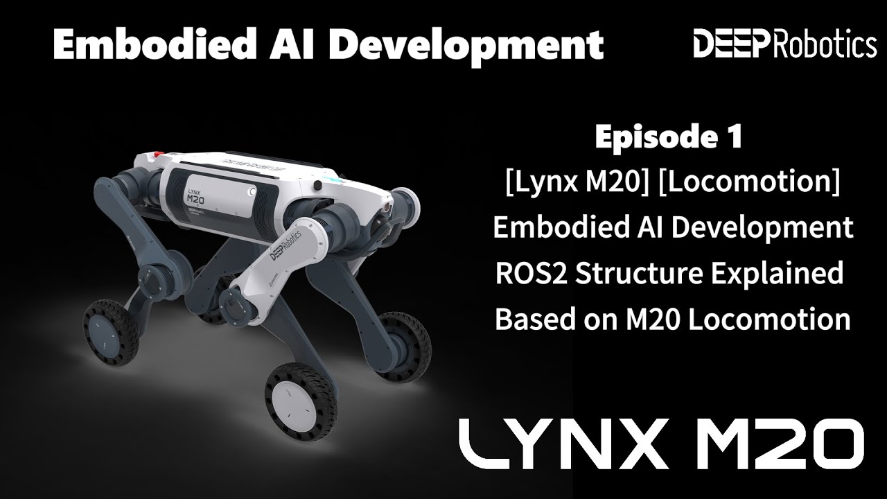 [Lynx M20] [Locomotion] Embodied AI Development ROS2 Structure ...