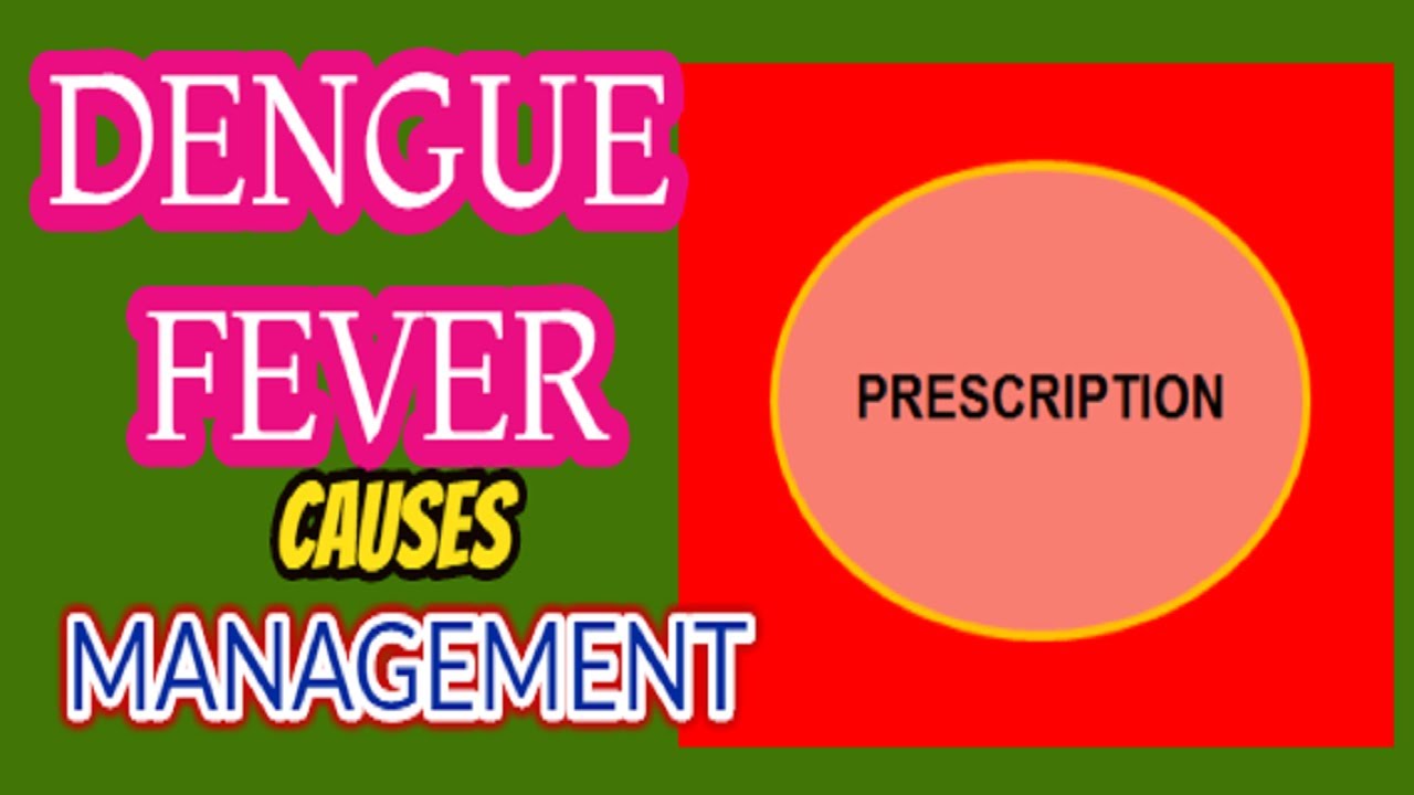 DENGUE FEVER CAUSES SIGNS SYMPTOMS DIAGNOSIS MANAGEMENT. - YouTube