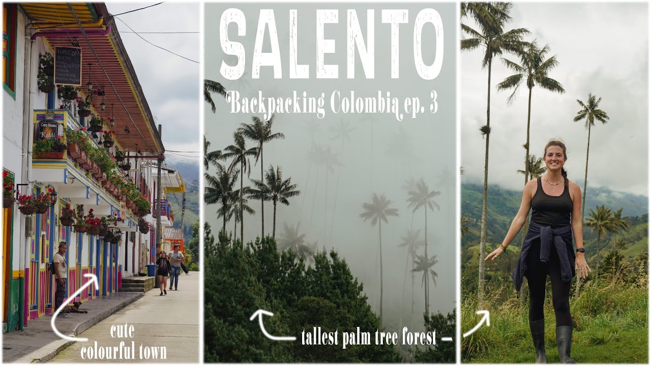 TALLEST PALM TREE FOREST | Salento, Colombia vlog - YouTube