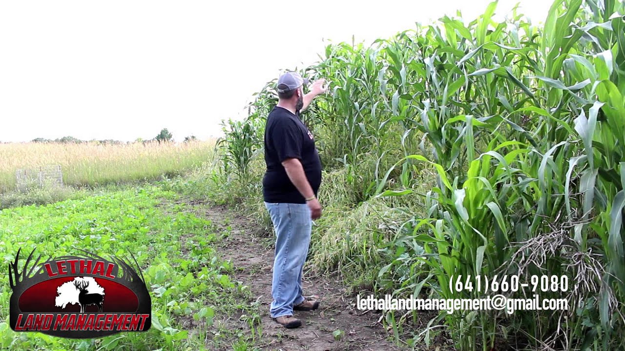 Food Plot Product Showcase #1 - YouTube