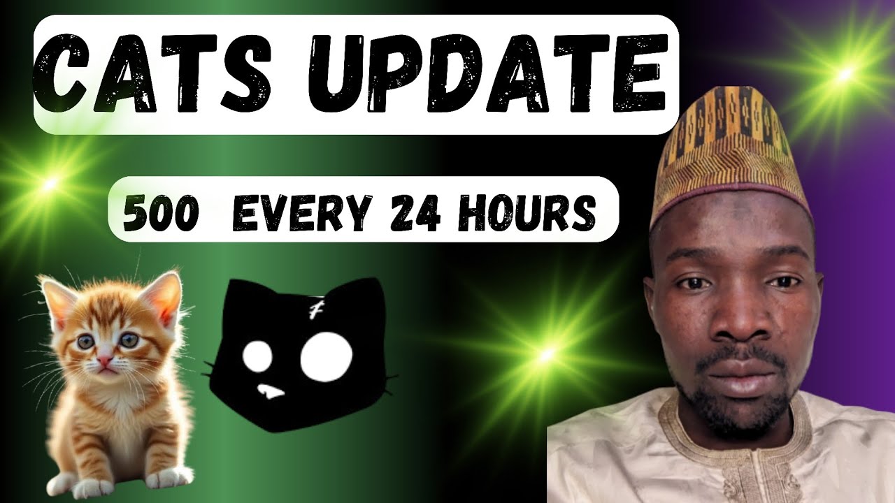 how to get, 500 cat points every 24 hour's - YouTube