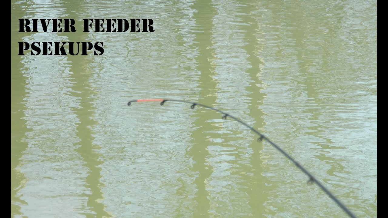 River feeder fishing. - YouTube