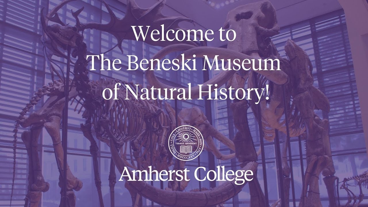 Introduction to the Beneski Museum of Natural History - YouTube