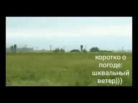 Карантин...коротко о погоде!!! Прикол