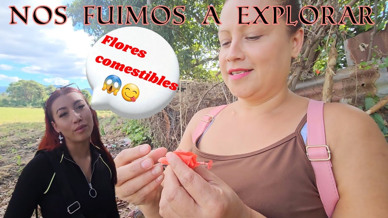 LES TRAEMOS UNA MUY BUENA NOTICIA 😱 Miren que hermoso paisaje 🥰😍 - YouTube