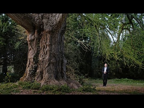Gardening for life: Ildikó Enyedi’s new film Silent Friend examines ties between people and plants