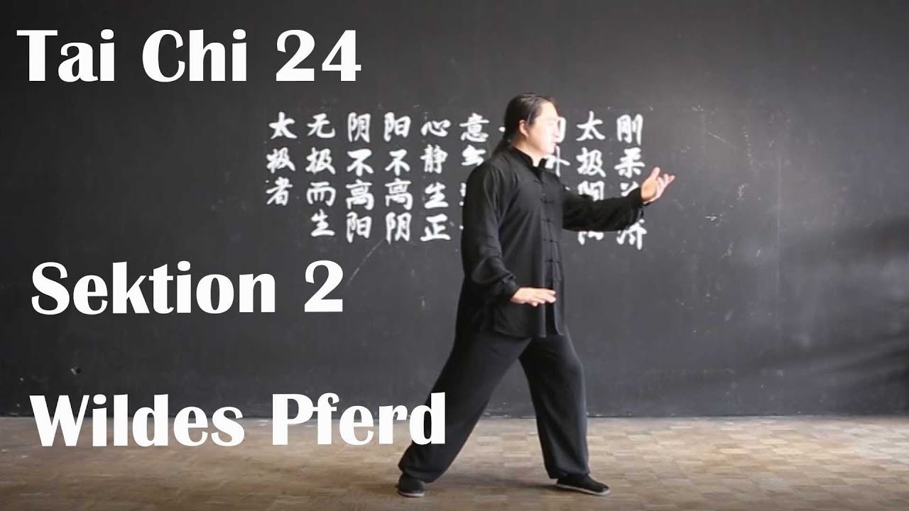 Tai Chi 24 - Tutorial: Sektion 2 - Teil 2 / 24式太极拳 / 野马分鬃 2 - YouTube