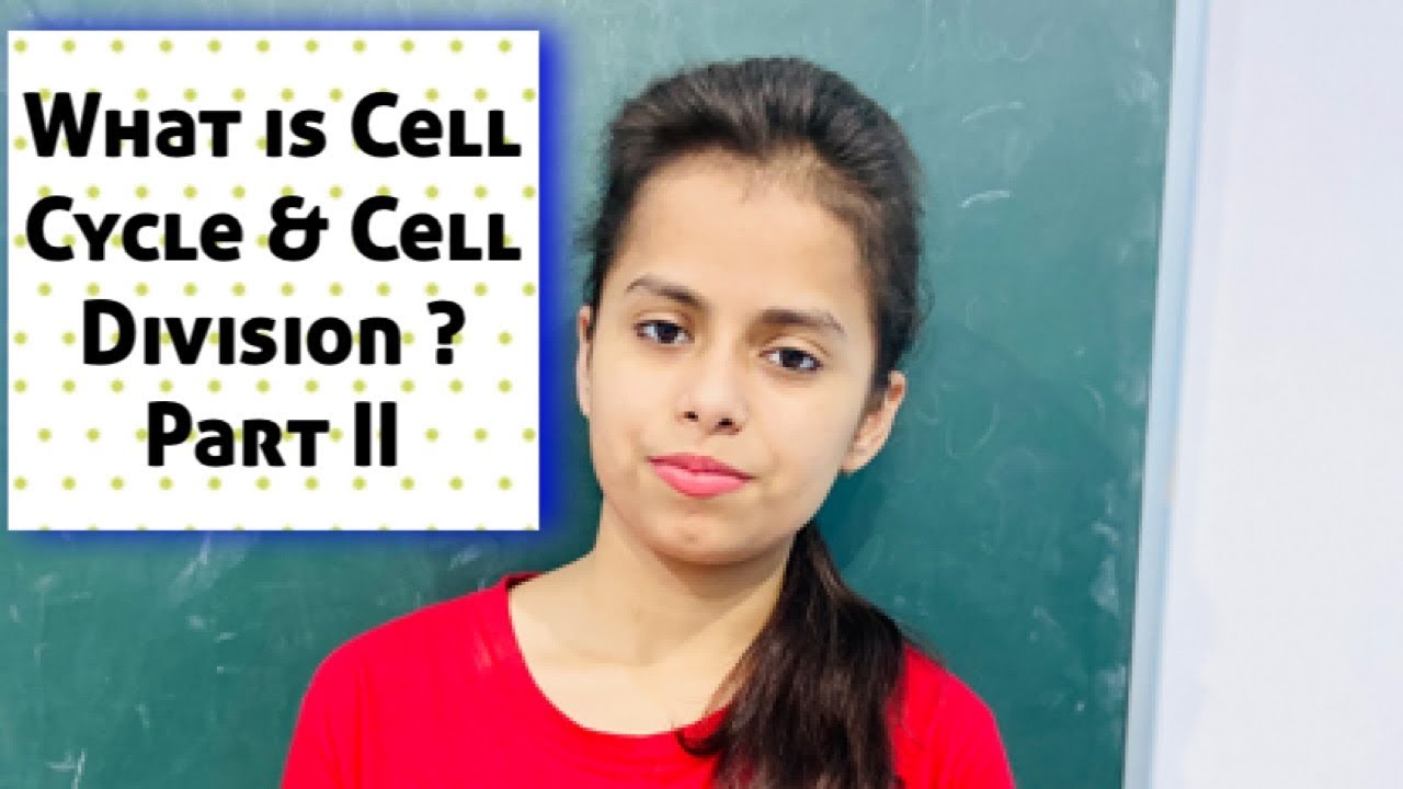 Let s Learn What Is CELL CYCLE CELL DIVISION Part II YouTube let-s-learn-what-is-cell-cycle-cell-division-part-ii-youtube