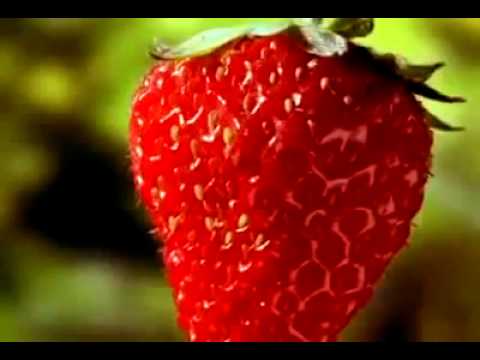 30 saniyede çilek oluşumu
