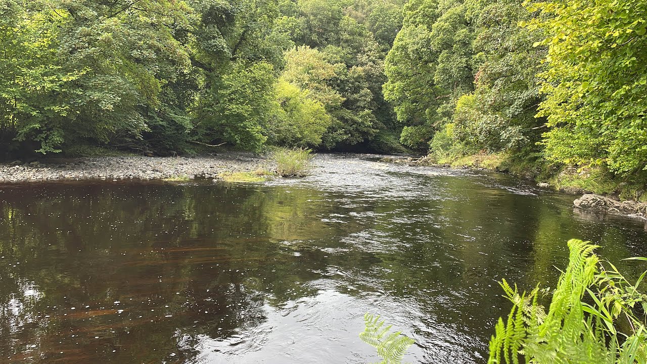 Salmon Fishing on the River Roe 5th September 2022 - YouTube
