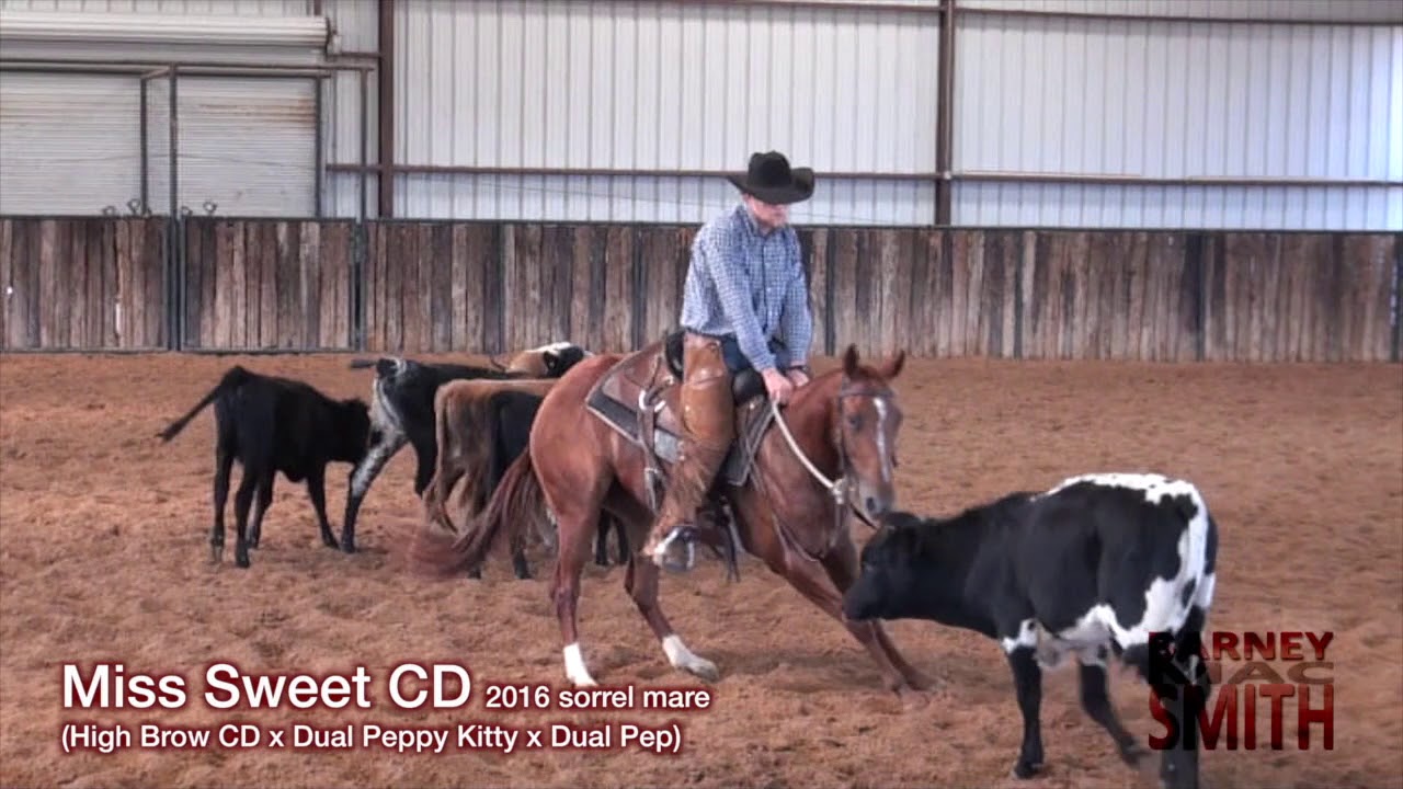 Miss Sweet CD (High Brow CD x Dual Peppy Kitty, by Dual Pep) - YouTube