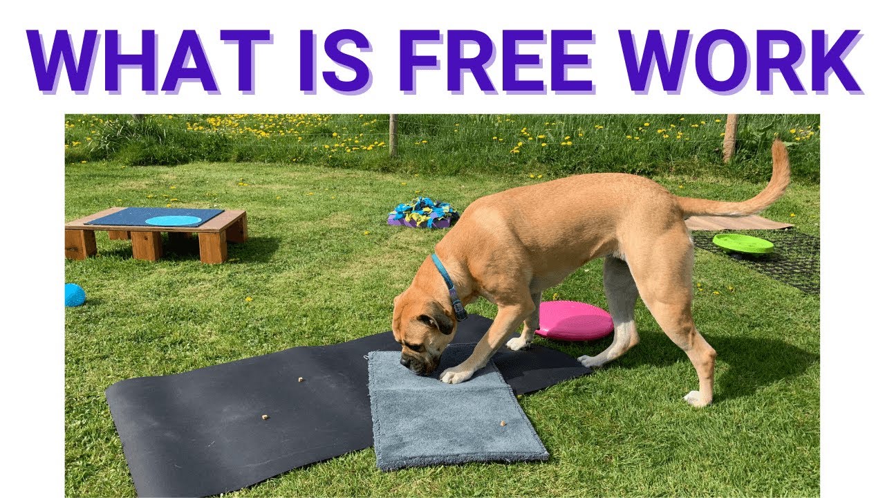 What is Free Work and Where to Start - YouTube