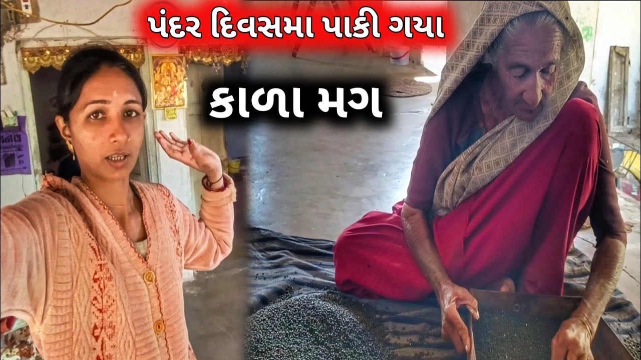 Kala Mag / 15 Divas Ma Paki Gya 😃 || R Gujju Vlog || - YouTube