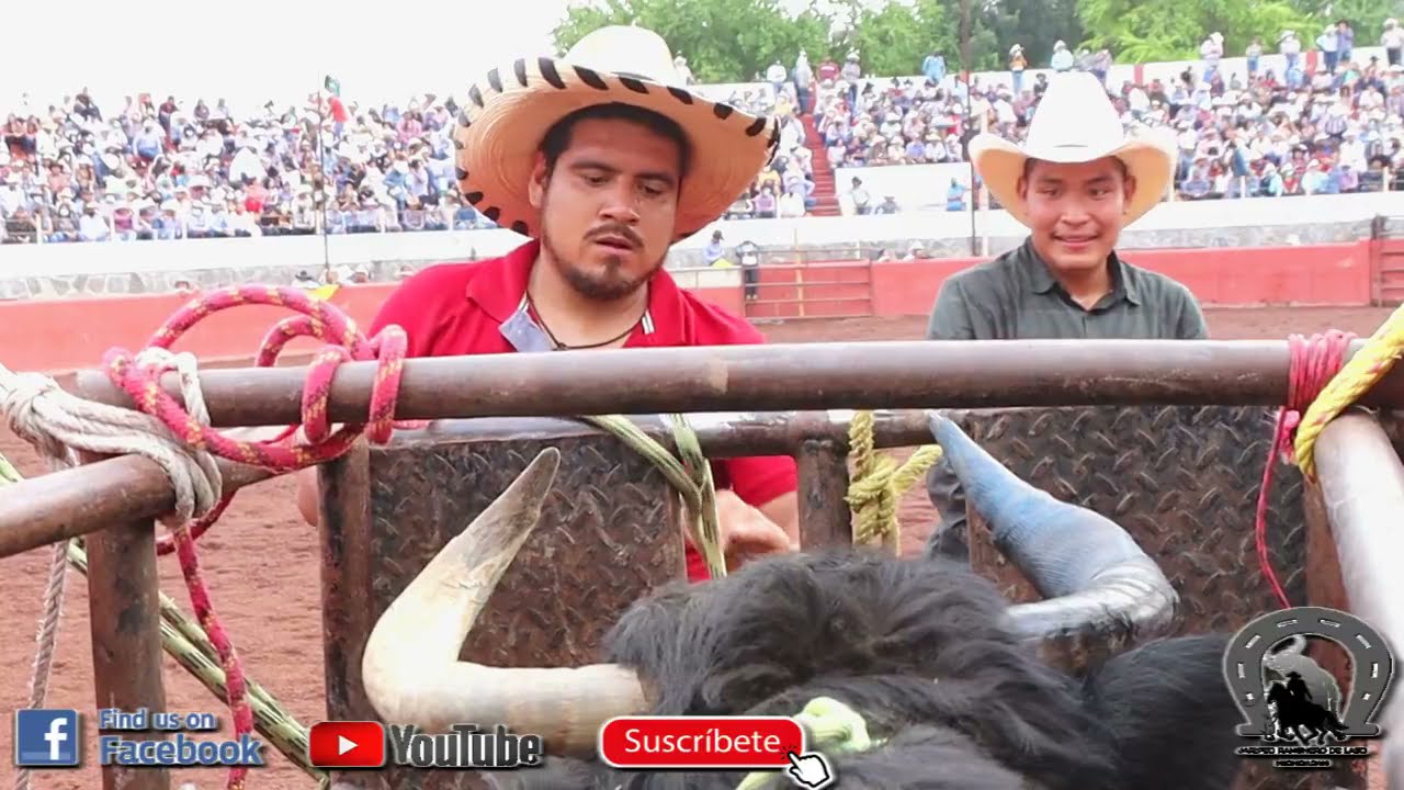 Jaripeo a Capa Lazo y Jinete Diez Lagunos En El Rancho Agua Salada de ...