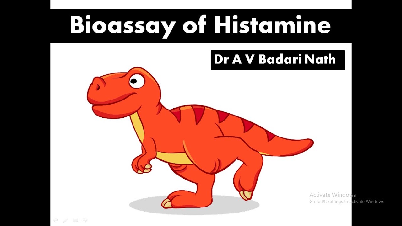 Bioassay of Histamine - YouTube
