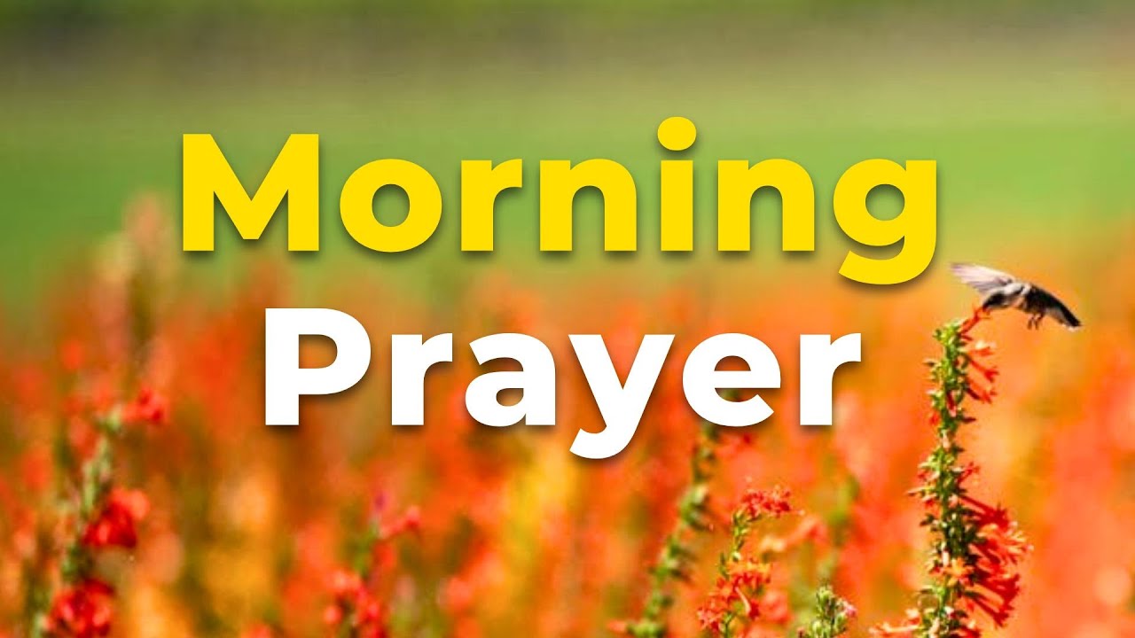 A Morning Prayer - Daily Devotional - YouTube
