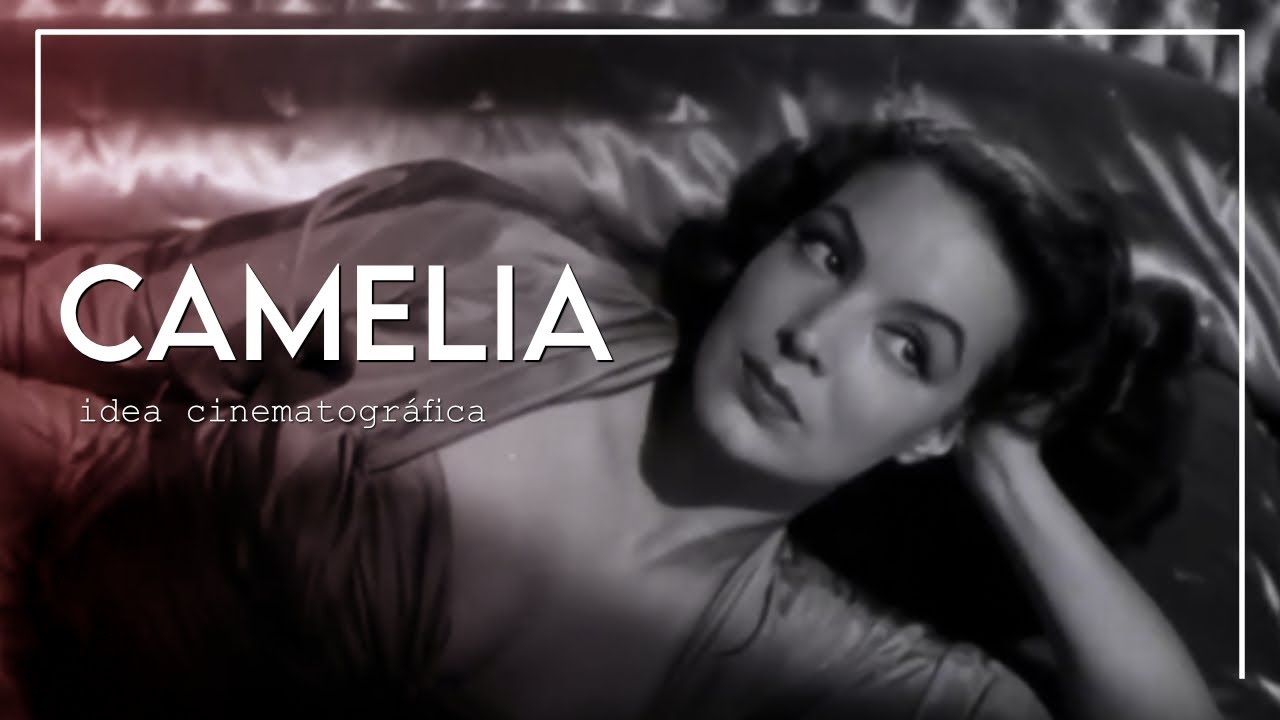 Camelia - idea cinematográfica - YouTube