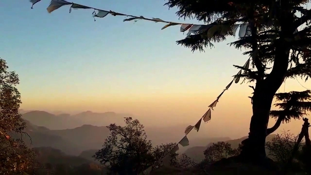 Jabarkhet Nature Reserve Mussoorie | Winterline - YouTube