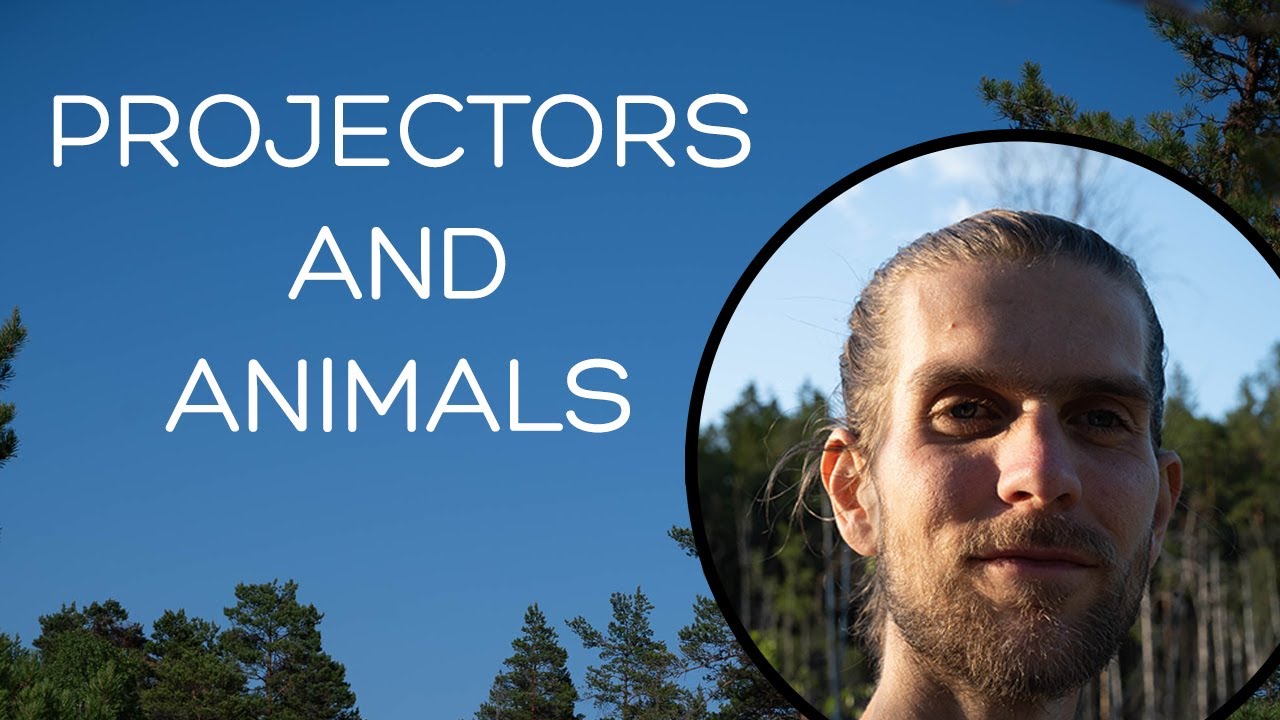 Projectors and animals - Human design - YouTube