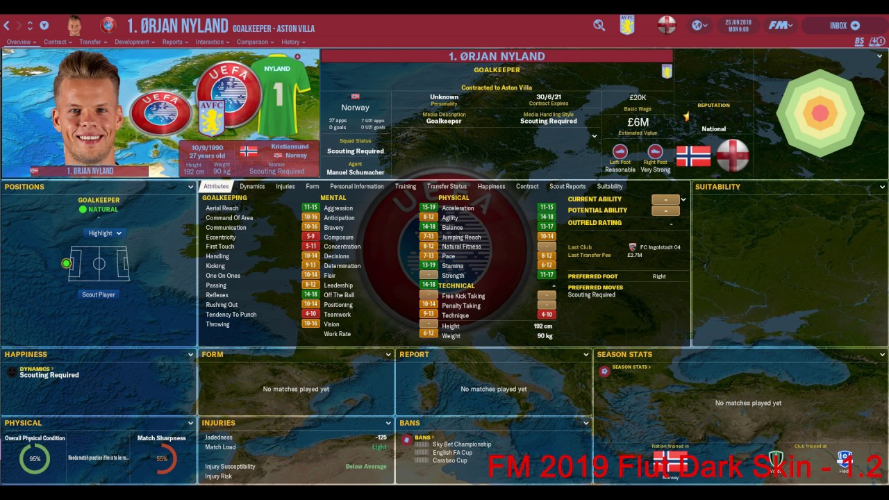 FMCCM - A brief look at a few FM19 skins - YouTube