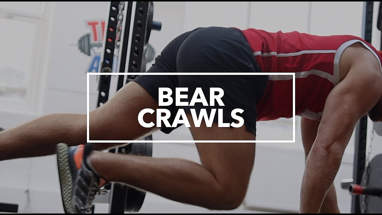 Bear Crawls - YouTube