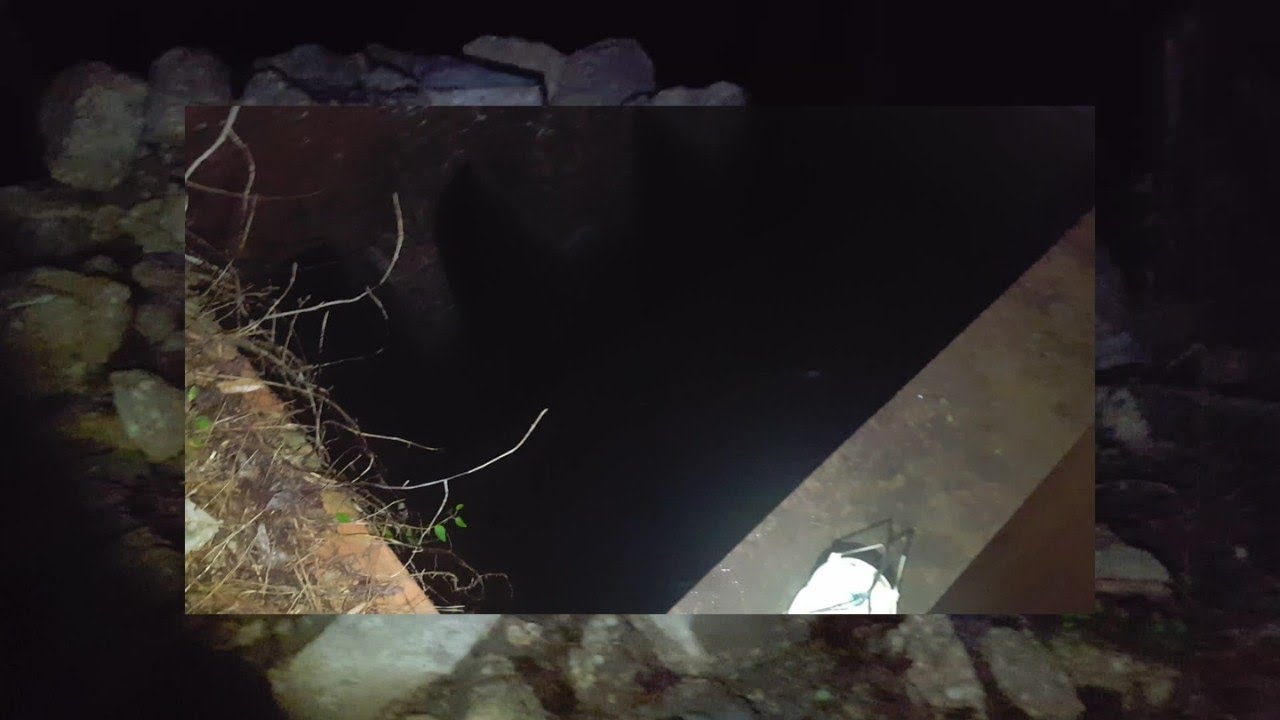 Exploring secret bridge - YouTube
