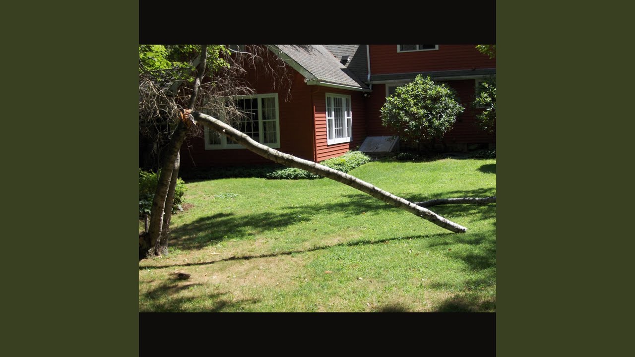 Pine Cone Rag for Violin & Piano / for Hilary Hahn - YouTube