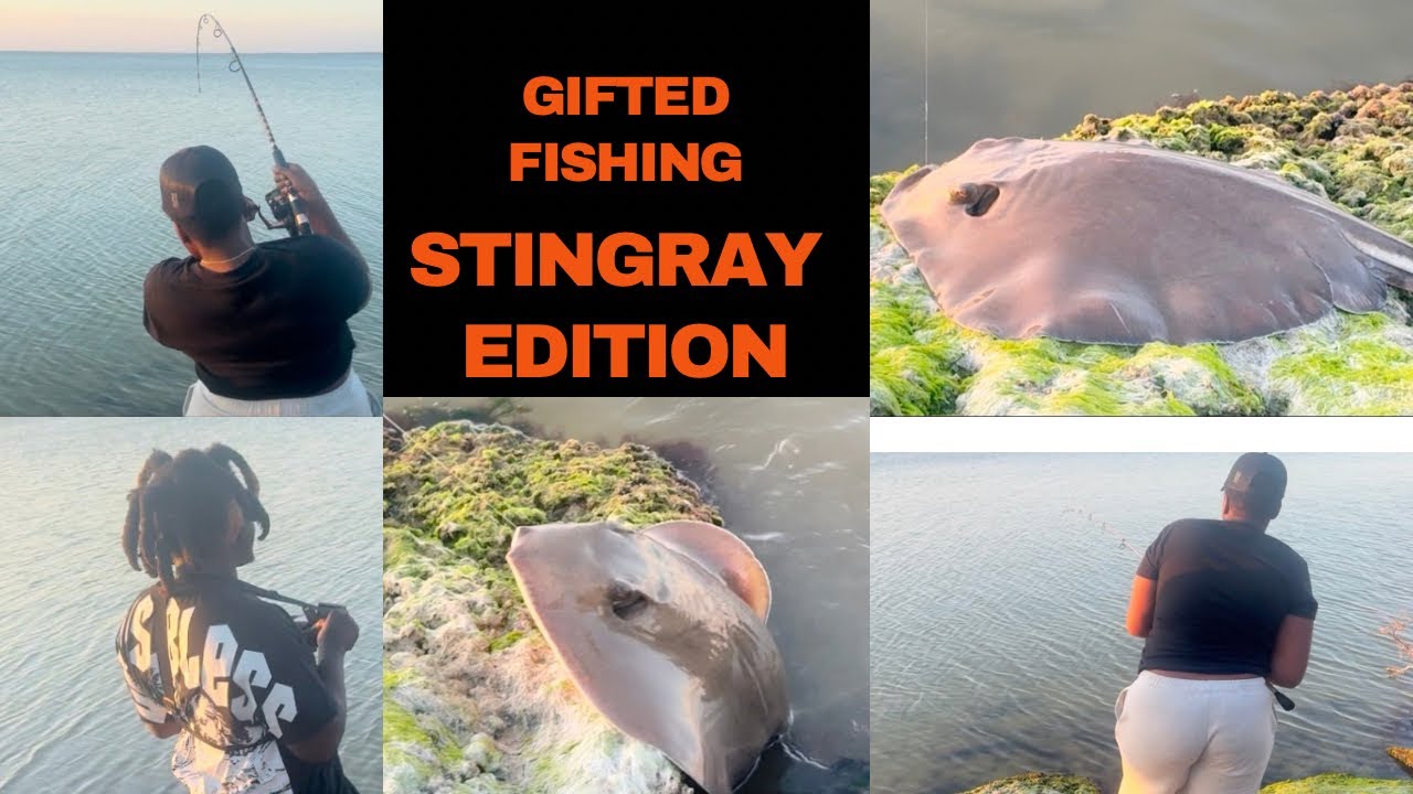 MONSTER STINGRAY TAKES US ON A WILD RIDE! (Insane 3-Minute Battle ...