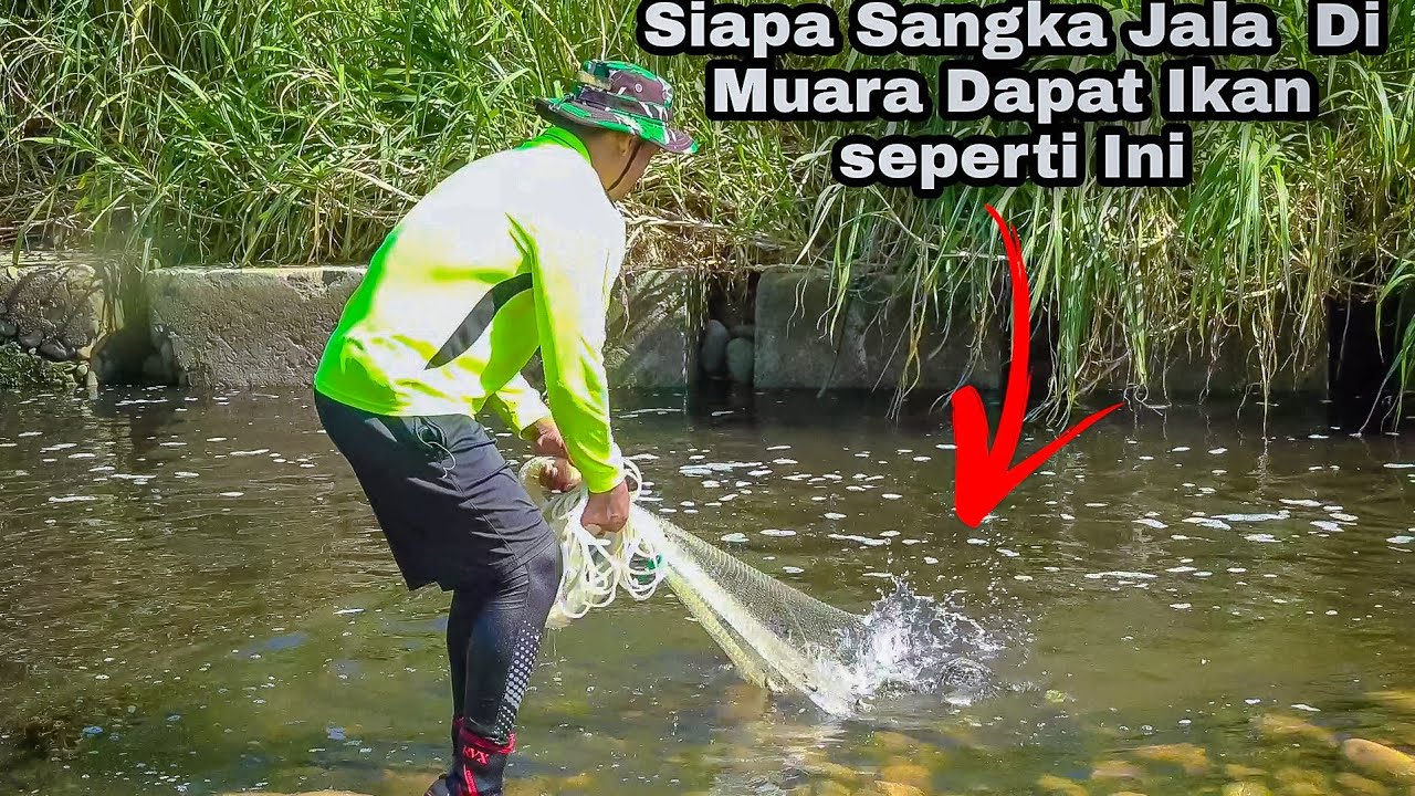 Siapa Sangka ..! Jala Ikan Di Muara Bisa Dapat Ikan Seperti Ini ...