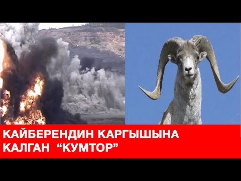 Кайберендин каргышына калган \