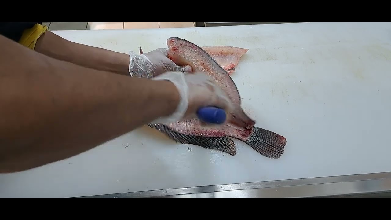 How to fillet tilapia fish | Fillet kaise banaye | Fish cutting and ...