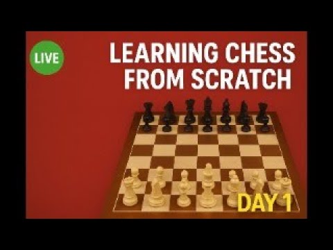 Learning Chess from Scratch | Day 1 - YouTube