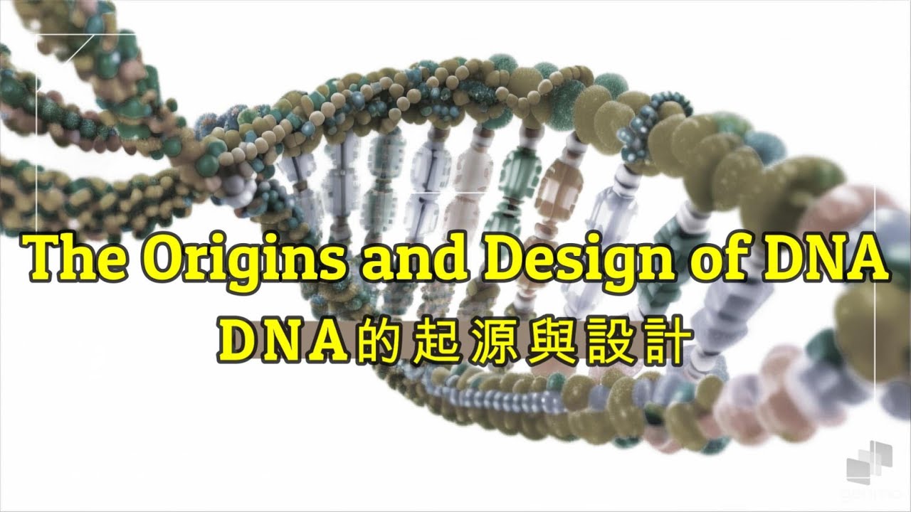 The Origins and Design of DNA(DNA的起源與設計) - YouTube