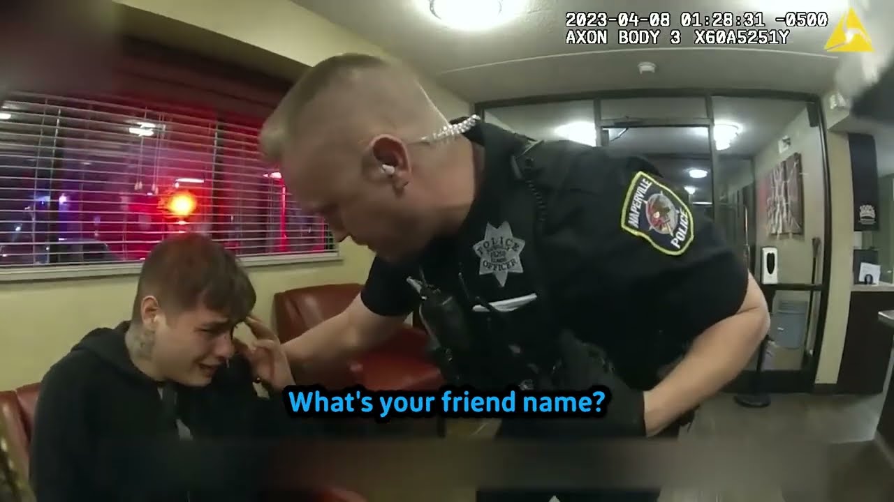 When Evil Pet Owners Realize They’ve Been Caught - YouTube