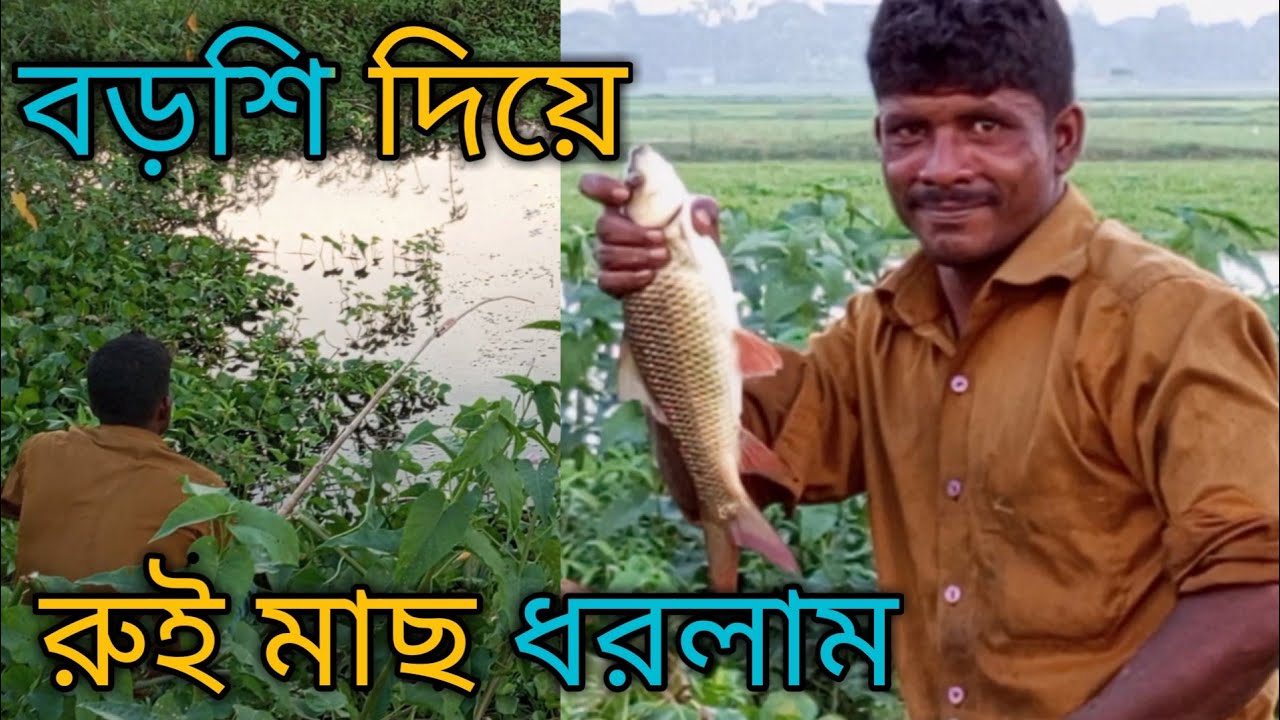 traditional hook fishing || Fishing for carp and rohu with hooks ...