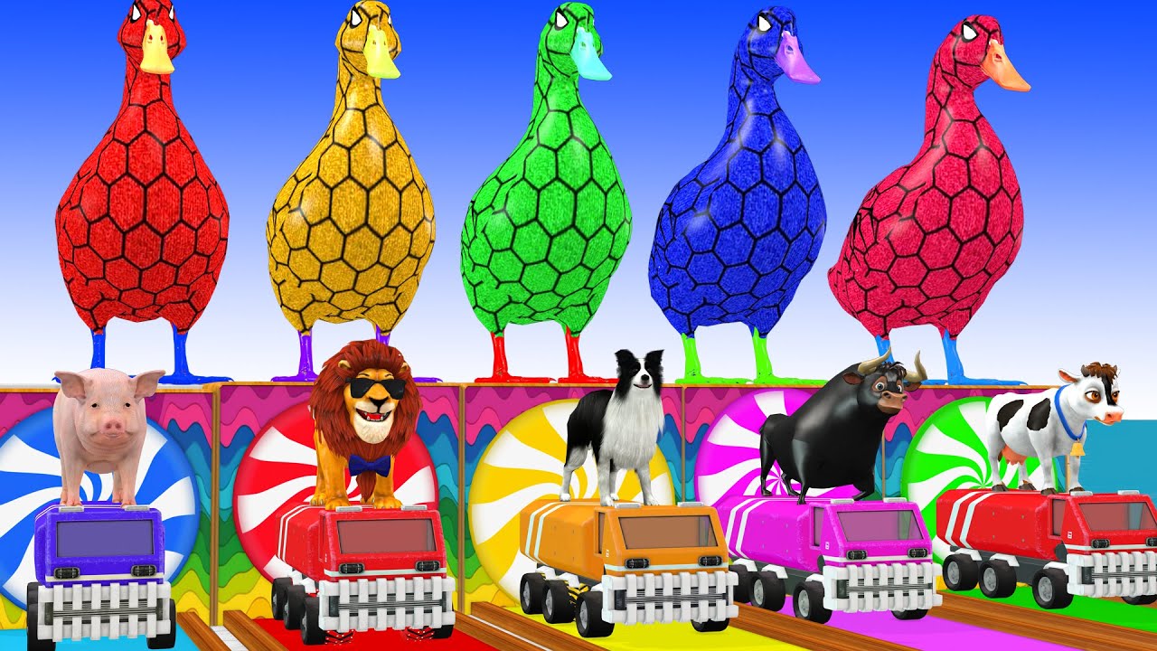 Long Slide Game With Cow Buffalo Lion Dog Tiger - 3d Animal Game ...