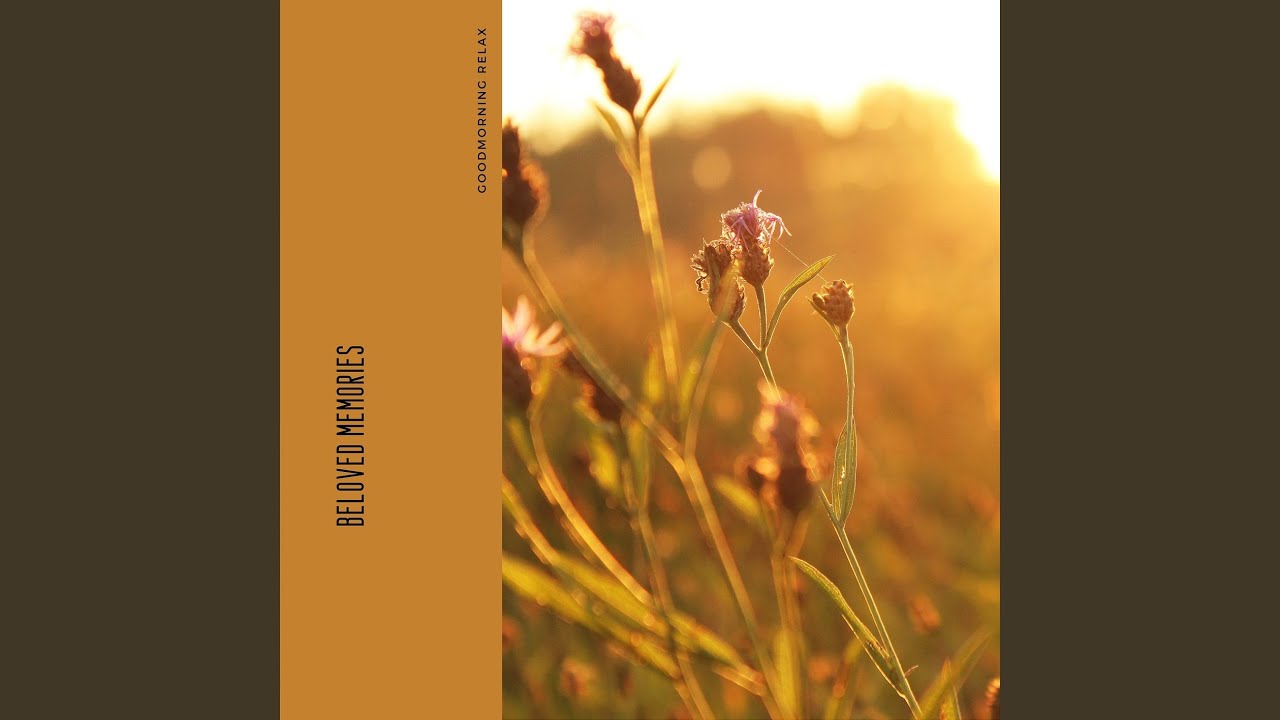 Beloved Memories (Meditation) - YouTube