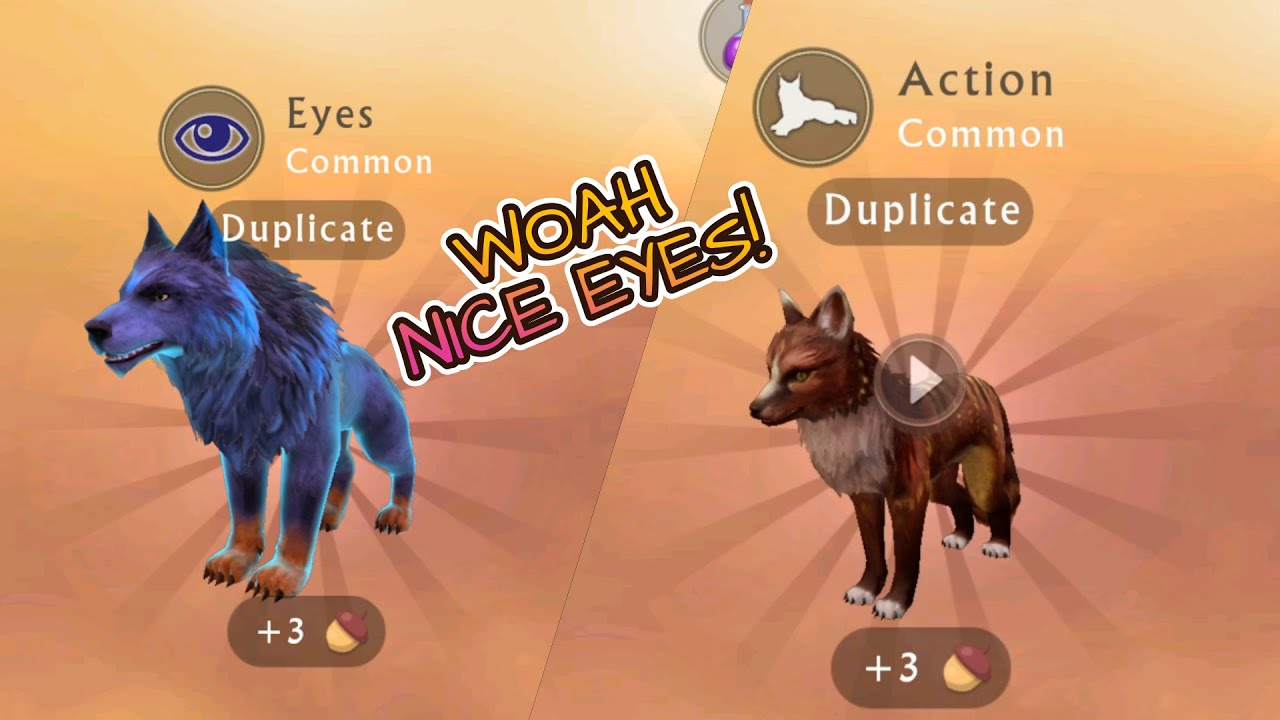 Wild Pass Items In Chest? (Bug) | Wildcraft - YouTube