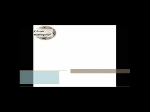 Stars in Global Health: Mr. Savannah Mwesigwa