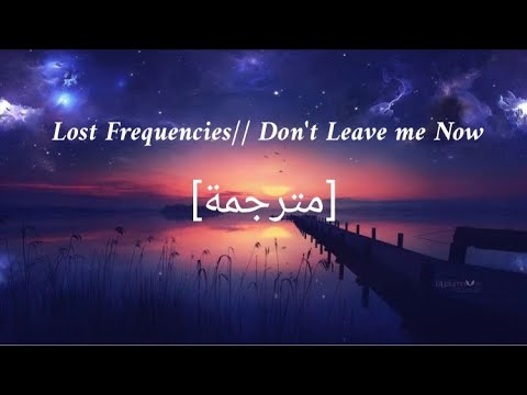 Lost Frequencies & Mathieu loss// Don't Leave Me Now مترجمة (lyric ...