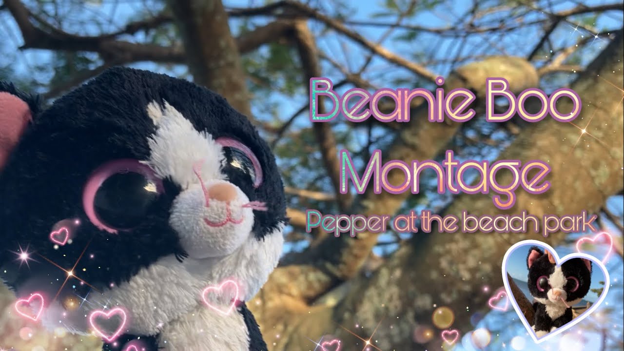 Beanie Boo Montage | Pepper at the Beach/park | Beanie Boo montage ...
