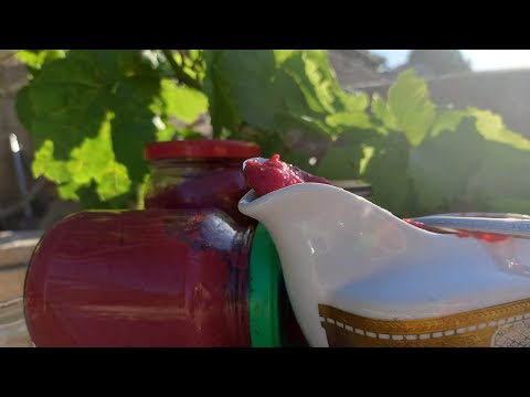 Zoğaldan Palçıq TURŞUSUNUN Hazırlanması / QIŞA HAZIRLIQ