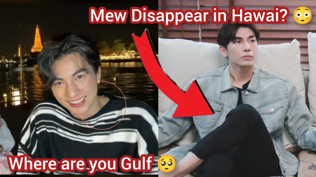 MEW AND GULF NEW UPDATE IN EARLY JULY! (All Sub) - YouTube