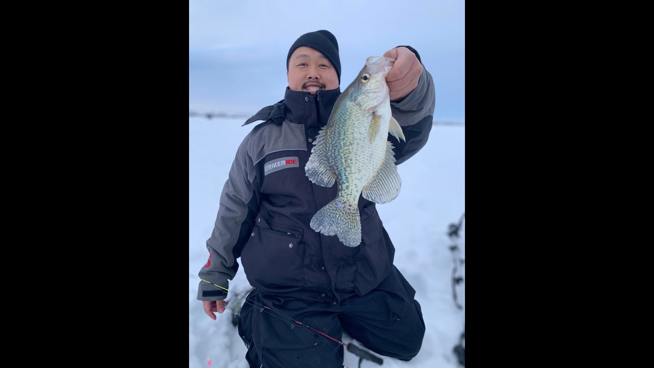 Ice Fishing Multi Species Catch Clean Cook (Slabs) - YouTube