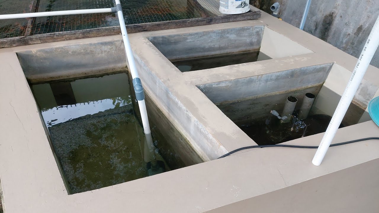 Sistem Chamber Membuat Kolam Tetap Jernih - YouTube