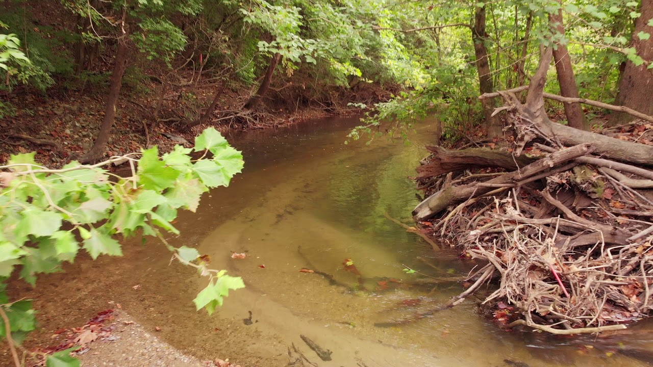 Mud Creek in Indianapolis, Indiana - YouTube