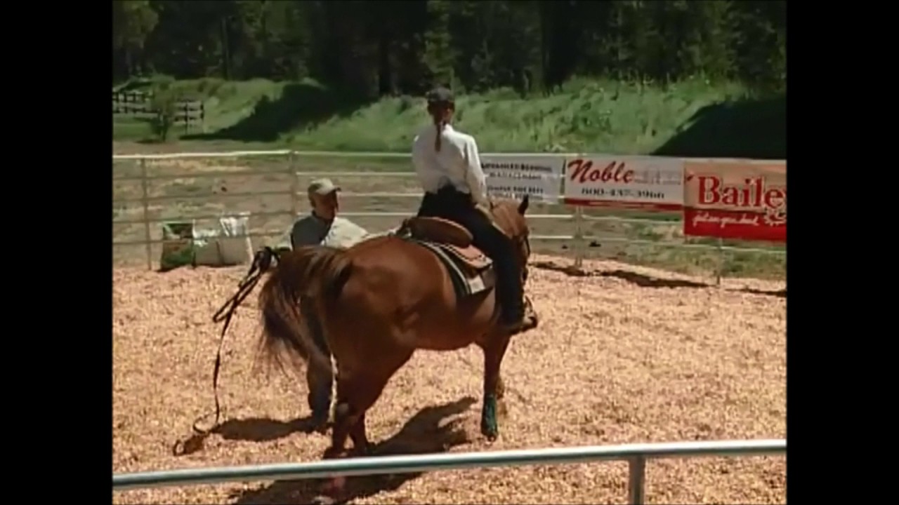 Richard Shrake Resistance Free Riding foundation for beginners part 4 ...