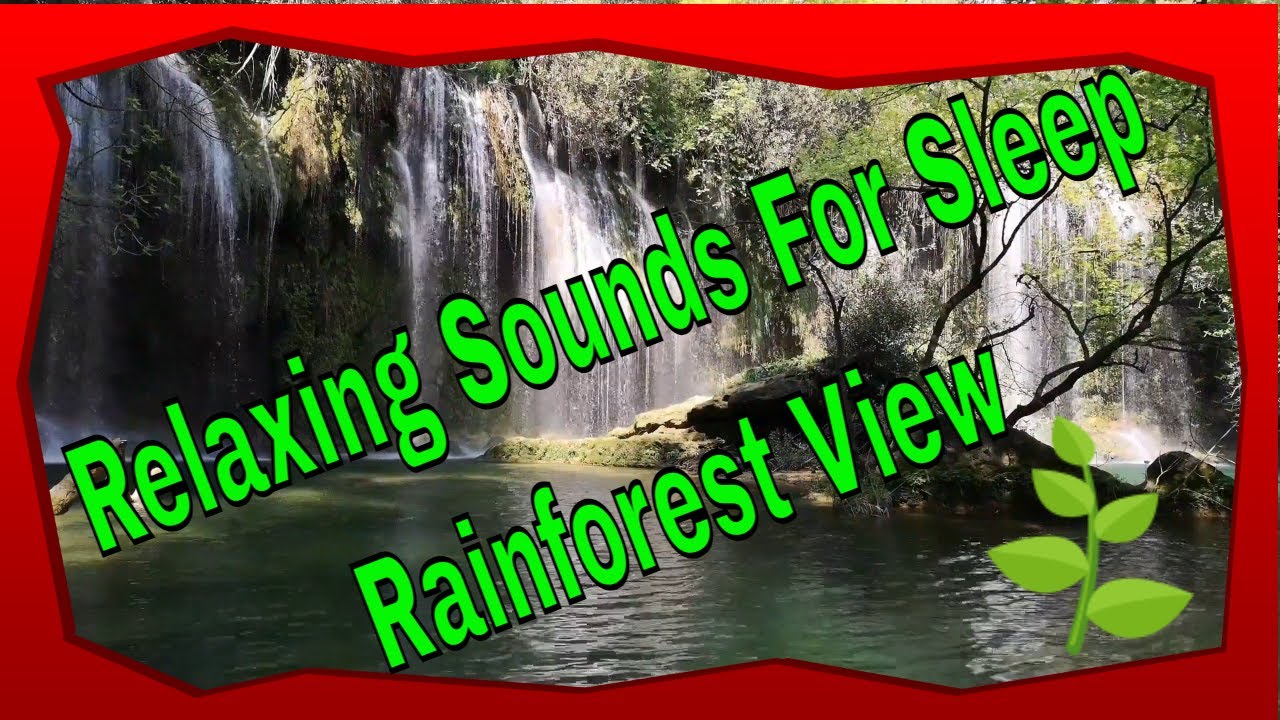 Relaxing Sounds For Sleep - Rainforest View - YouTube