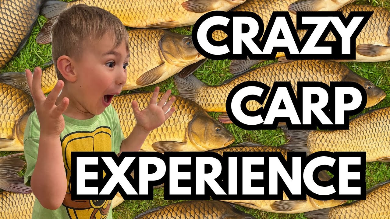 CRAZY carp experience! - YouTube