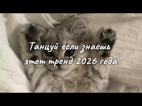 Танцуй если знаешь этот тренд 2026 года.🤍 𝔸𝕪𝕜𝕒 𝔹𝕠𝕠 (◕ᴗ◕✿)